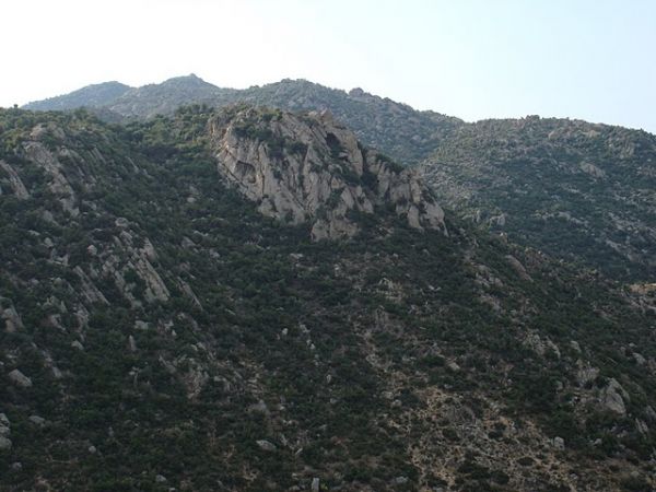 Region & History - Eco Green Living